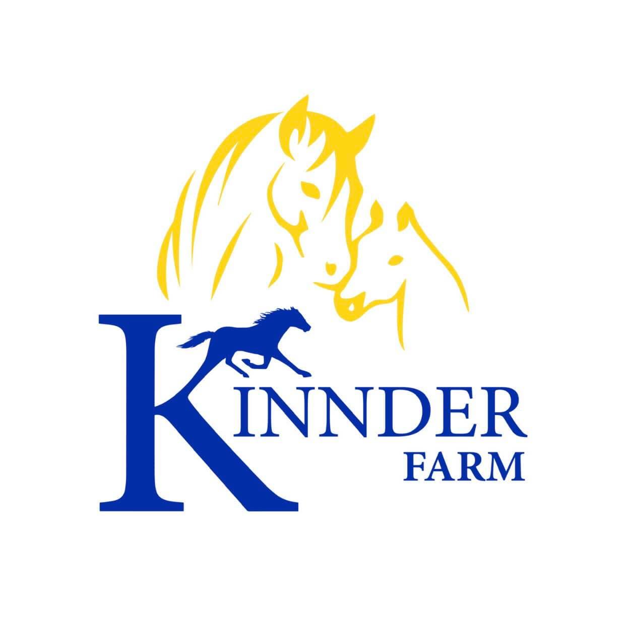 Nouveau départ pour Northern Escort et Leader Bayama - Hippodrome Trois ...