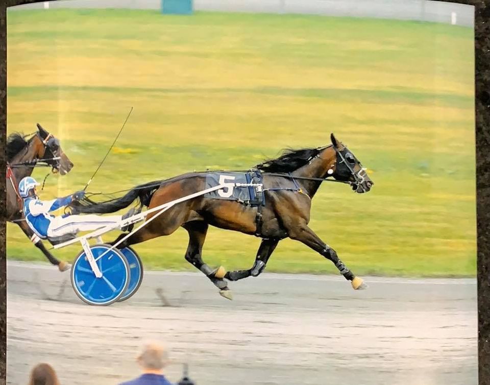 Tous derrière Samuel Fillion - Hippodrome Trois-Rivières