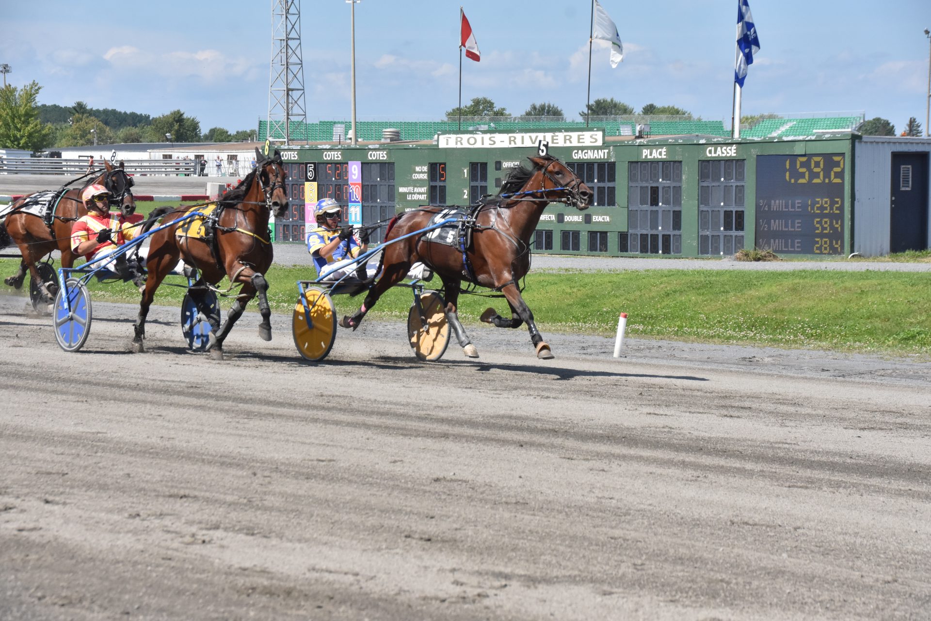 Rob Shepherd, la révélation de la saison - Hippodrome Trois-Rivières