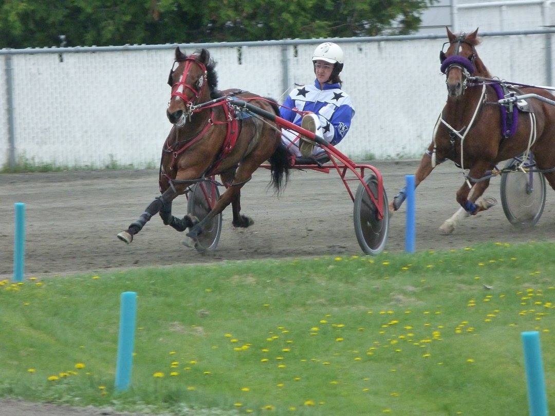 De la filière poney, voici Max Dinelle - Hippodrome Trois-Rivières