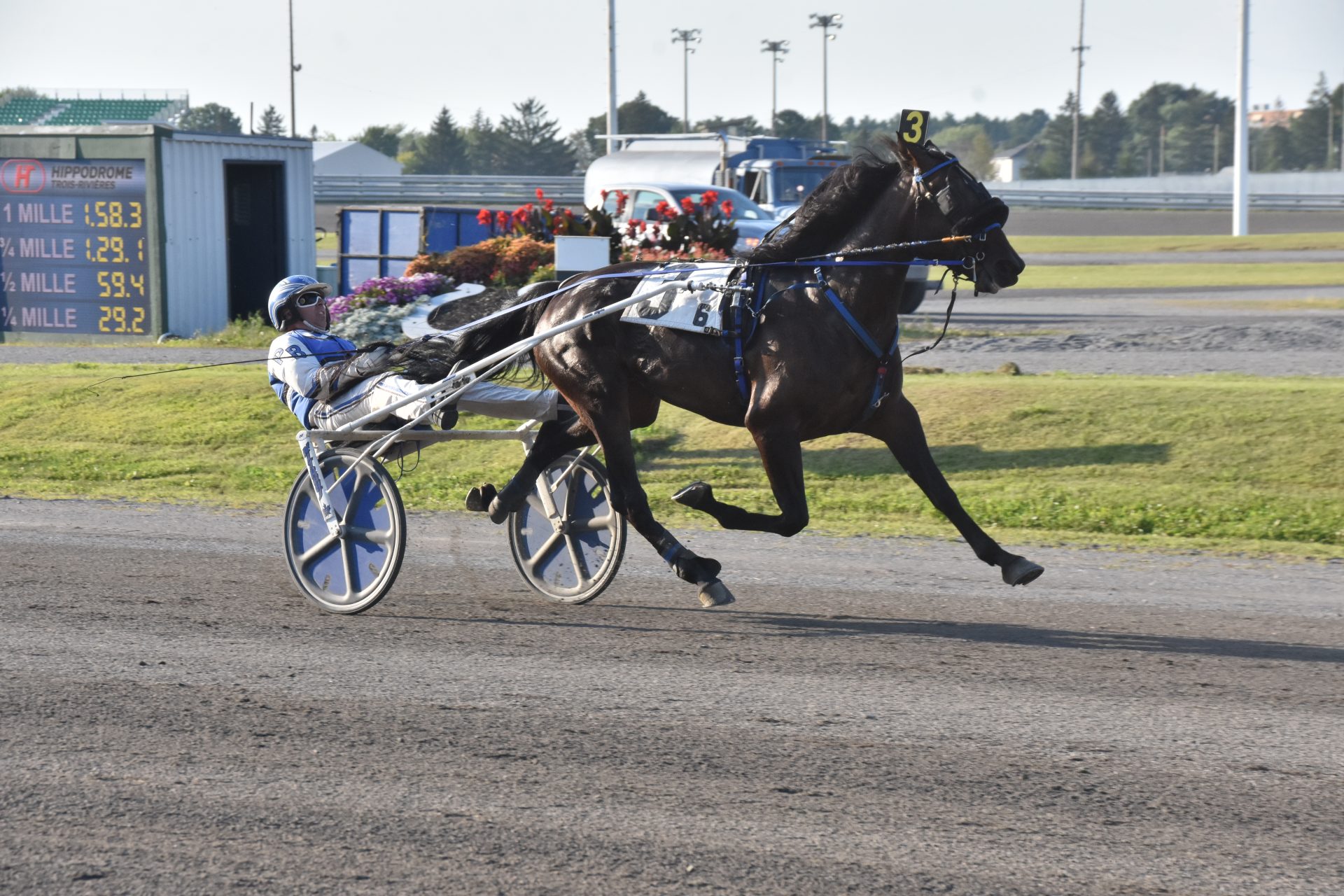 21 trotteuses en lice pour le TdE - Hippodrome Trois-Rivières