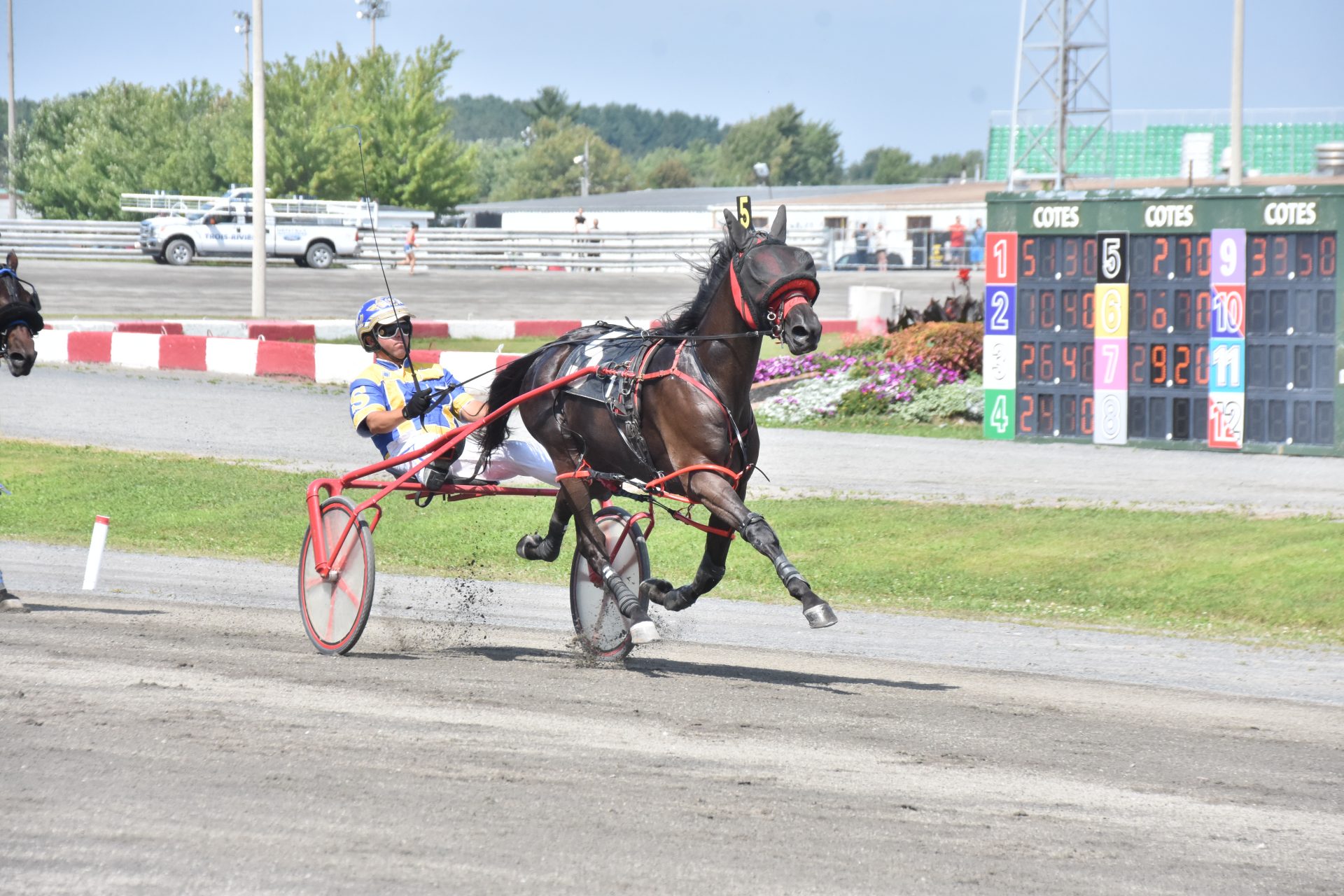 38 ambleuses nommées au Trophée des Éleveurs - Hippodrome Trois-Rivières