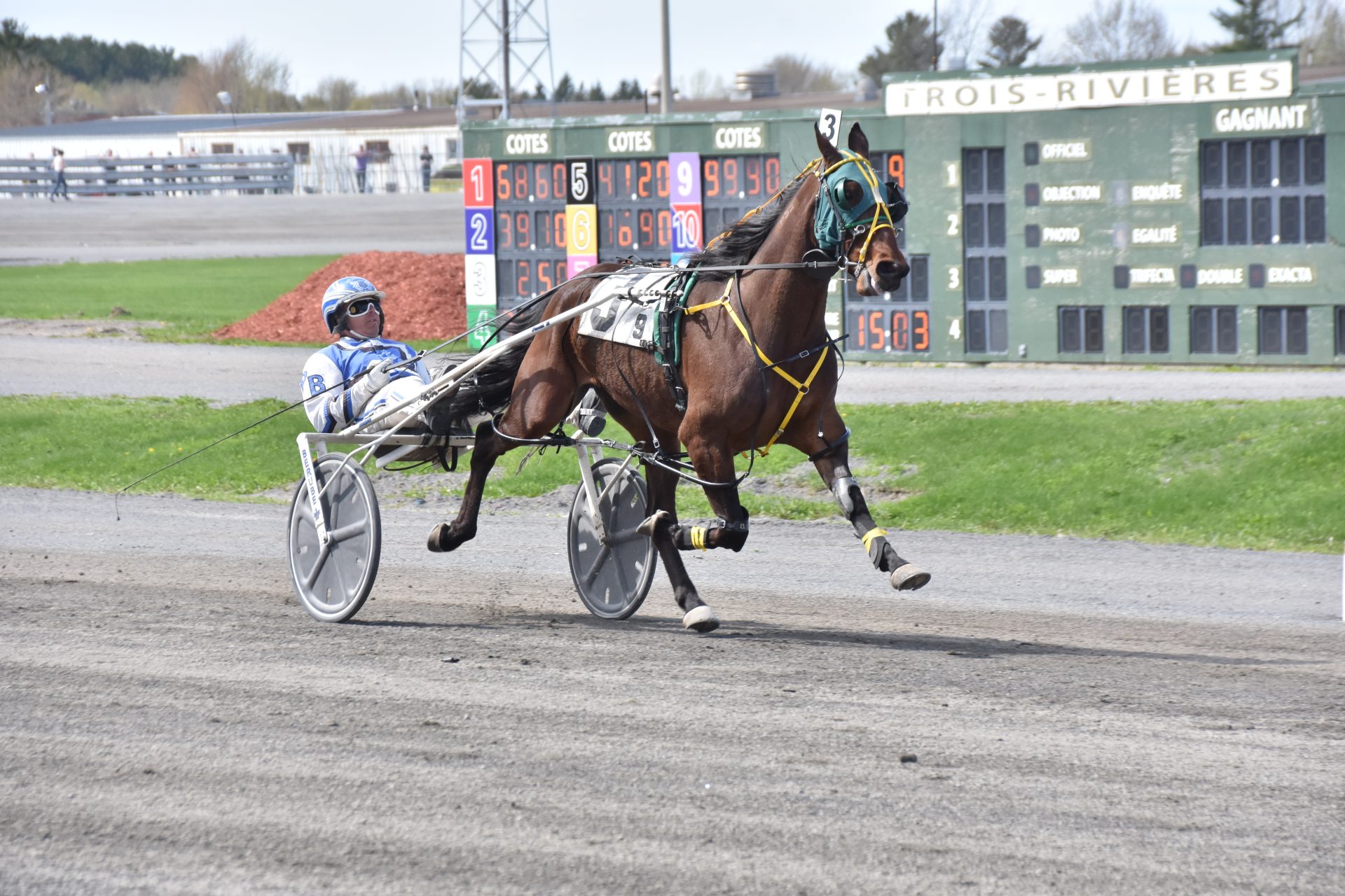 Sammy fait plaisir à Sam - Hippodrome Trois-Rivières