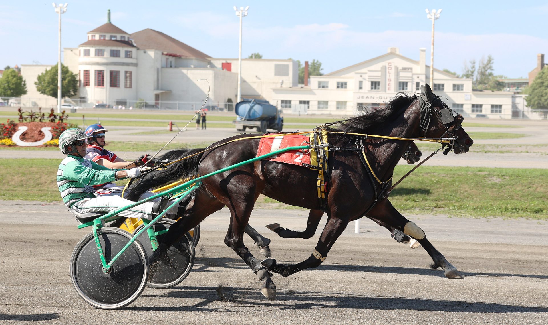 Seeyou Men, le cheval d’une vie - Hippodrome Trois-Rivières