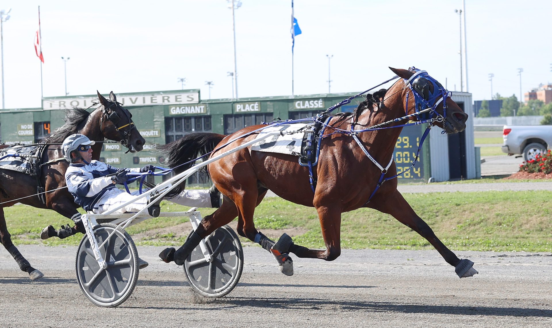 Seeyou Men, le cheval d’une vie - Hippodrome Trois-Rivières