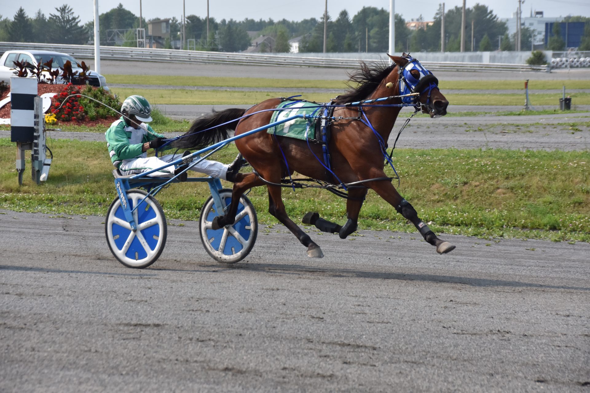 YS Sensational City en quête d’une 4e victoire de suite - Hippodrome ...