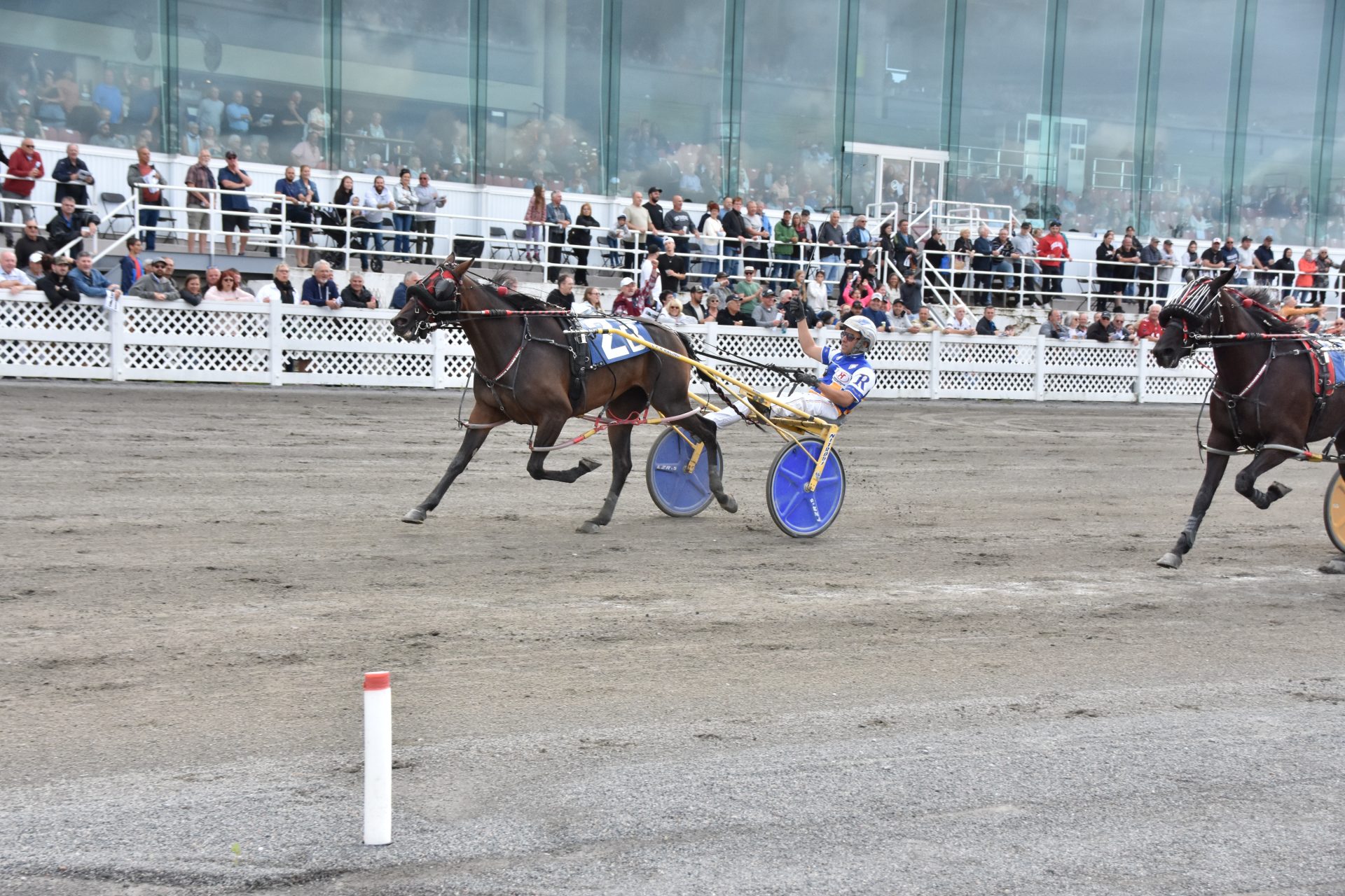 Ils reprennent le collier - Hippodrome Trois-Rivières