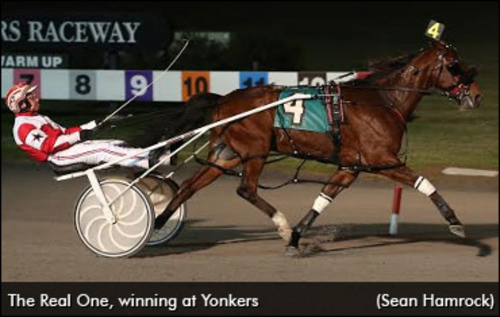 Patrick Lachance, un horseman complet - Hippodrome Trois-Rivières