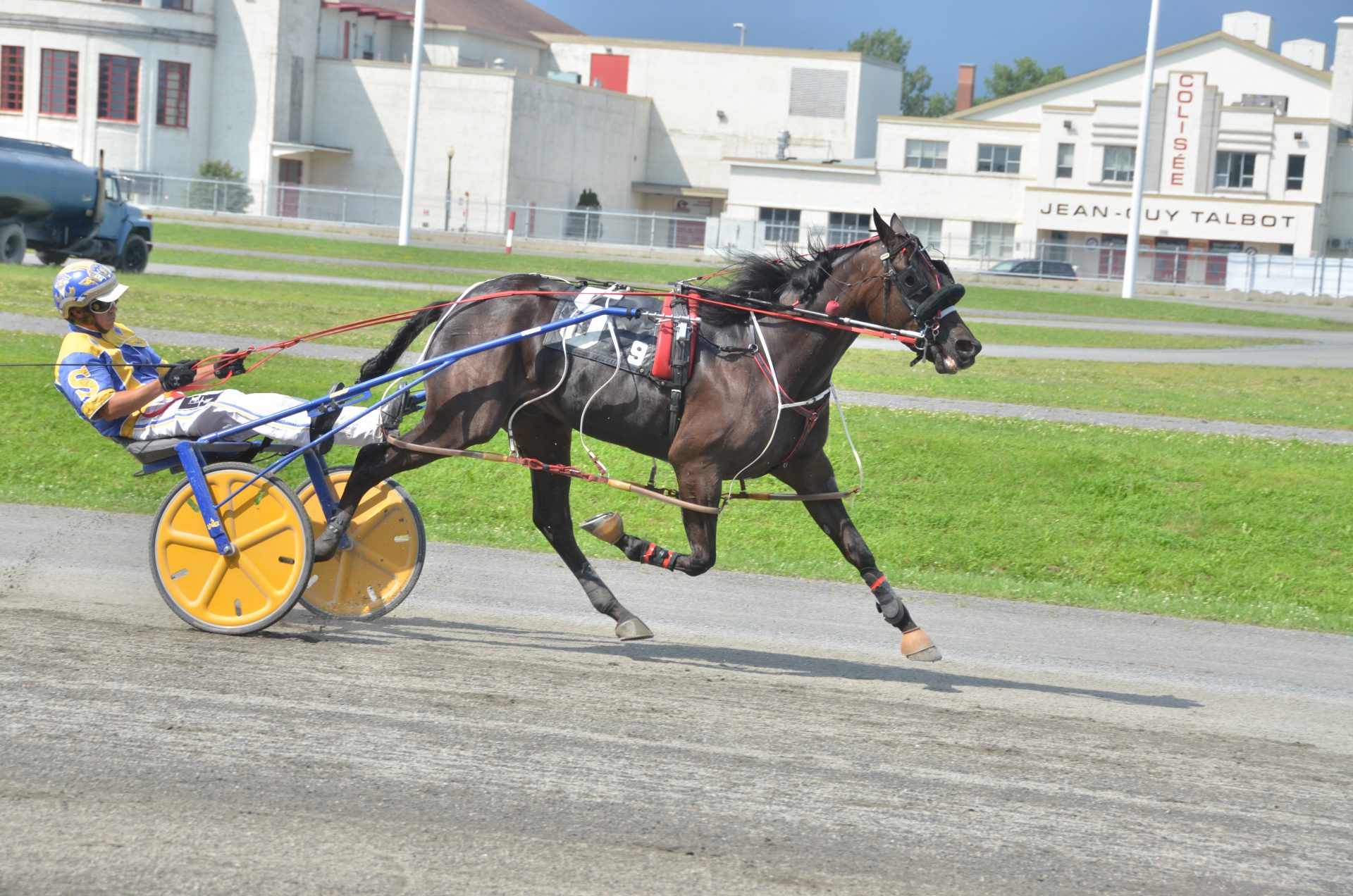 Sept en neuf pour David Pilon - Hippodrome Trois-Rivières