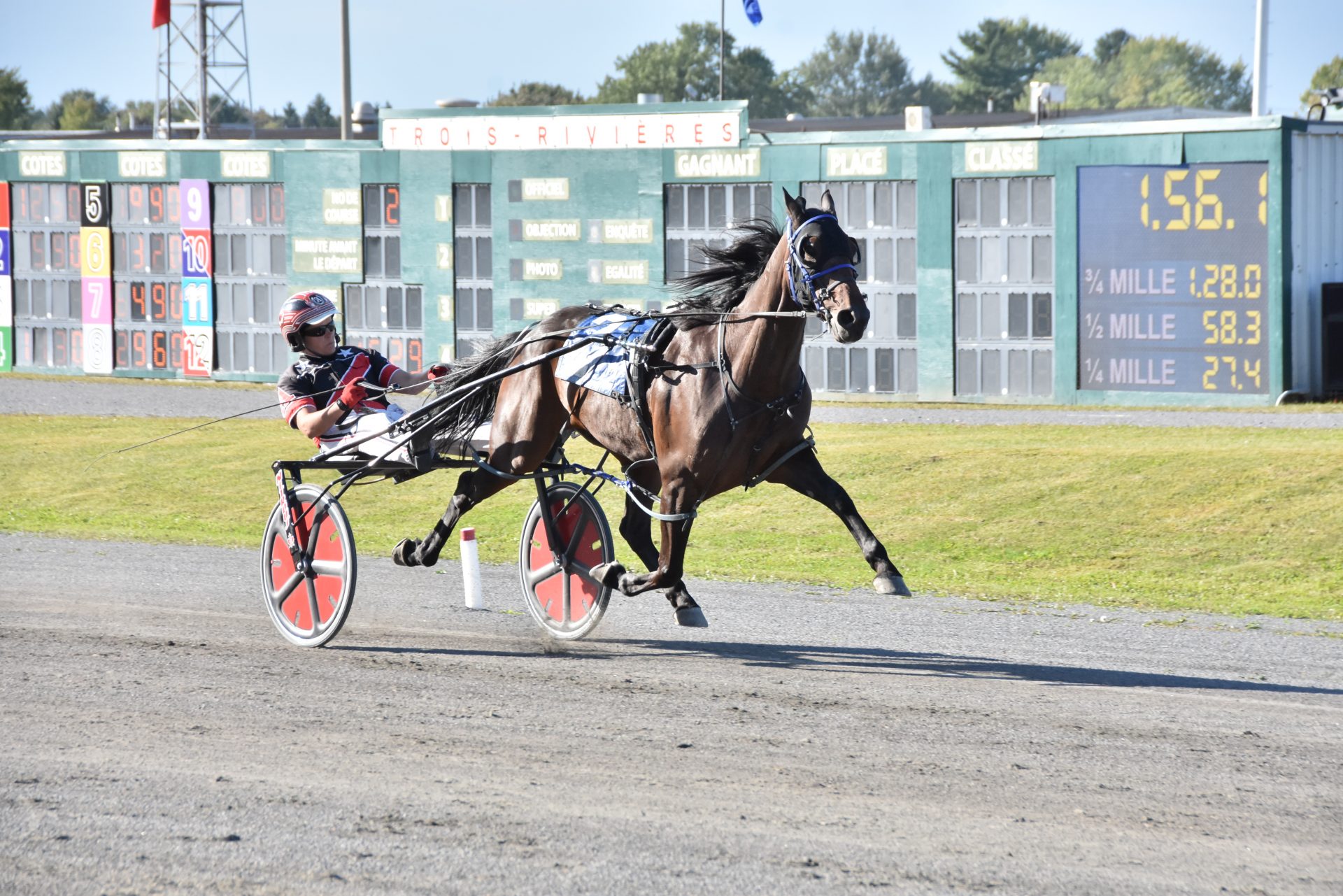 Marie-Claude Auger brille avec cinq victoires - Hippodrome Trois-Rivières