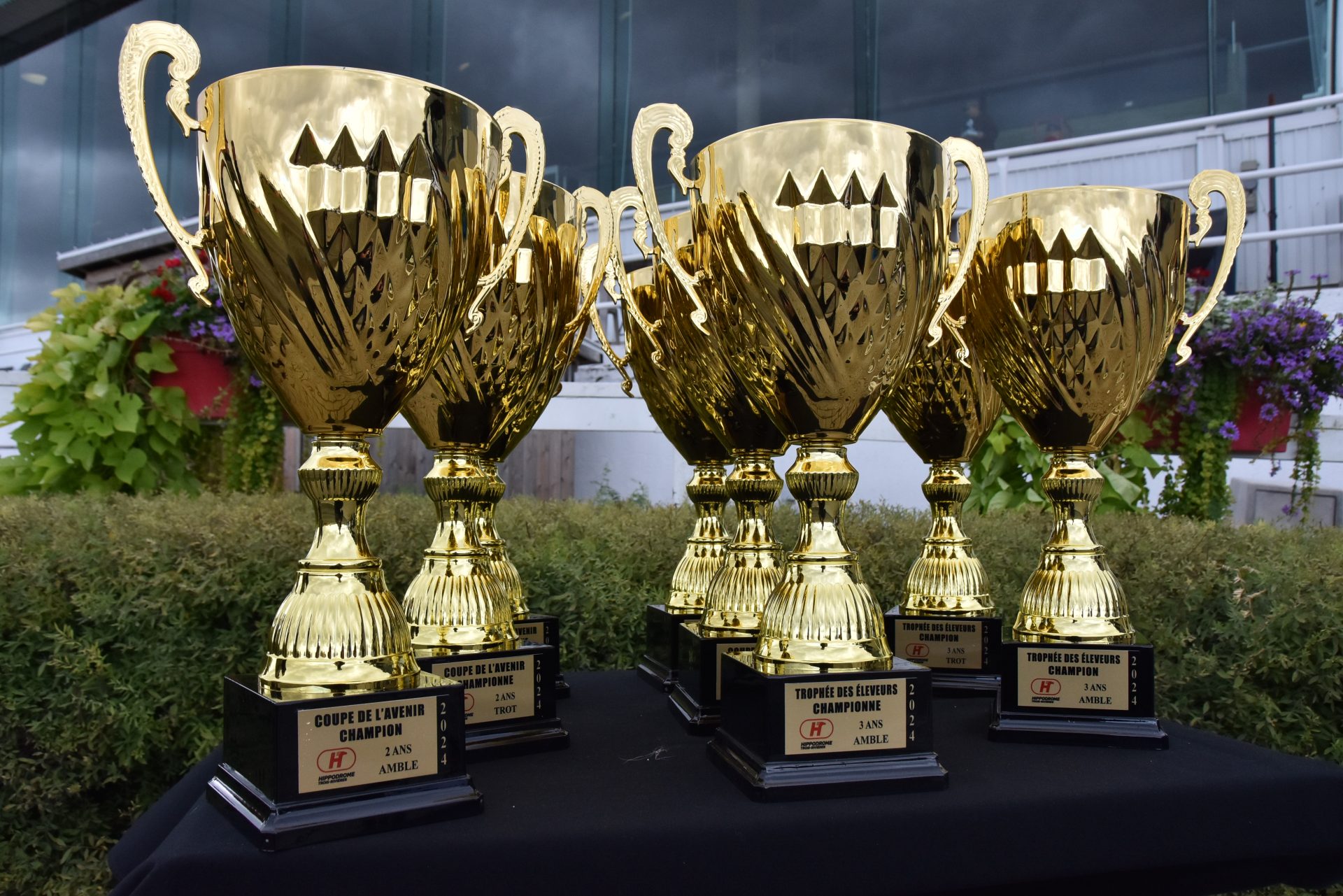 Ces éleveurs indispensables - Hippodrome Trois-Rivières