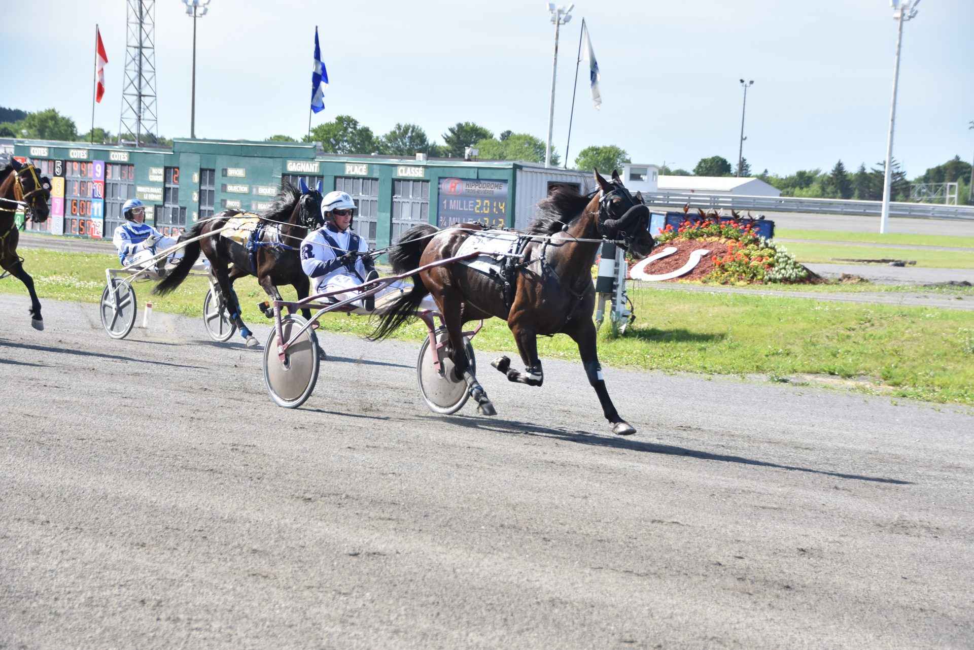 Série québécoise, les trotteurs, nombreux - Hippodrome Trois-Rivières