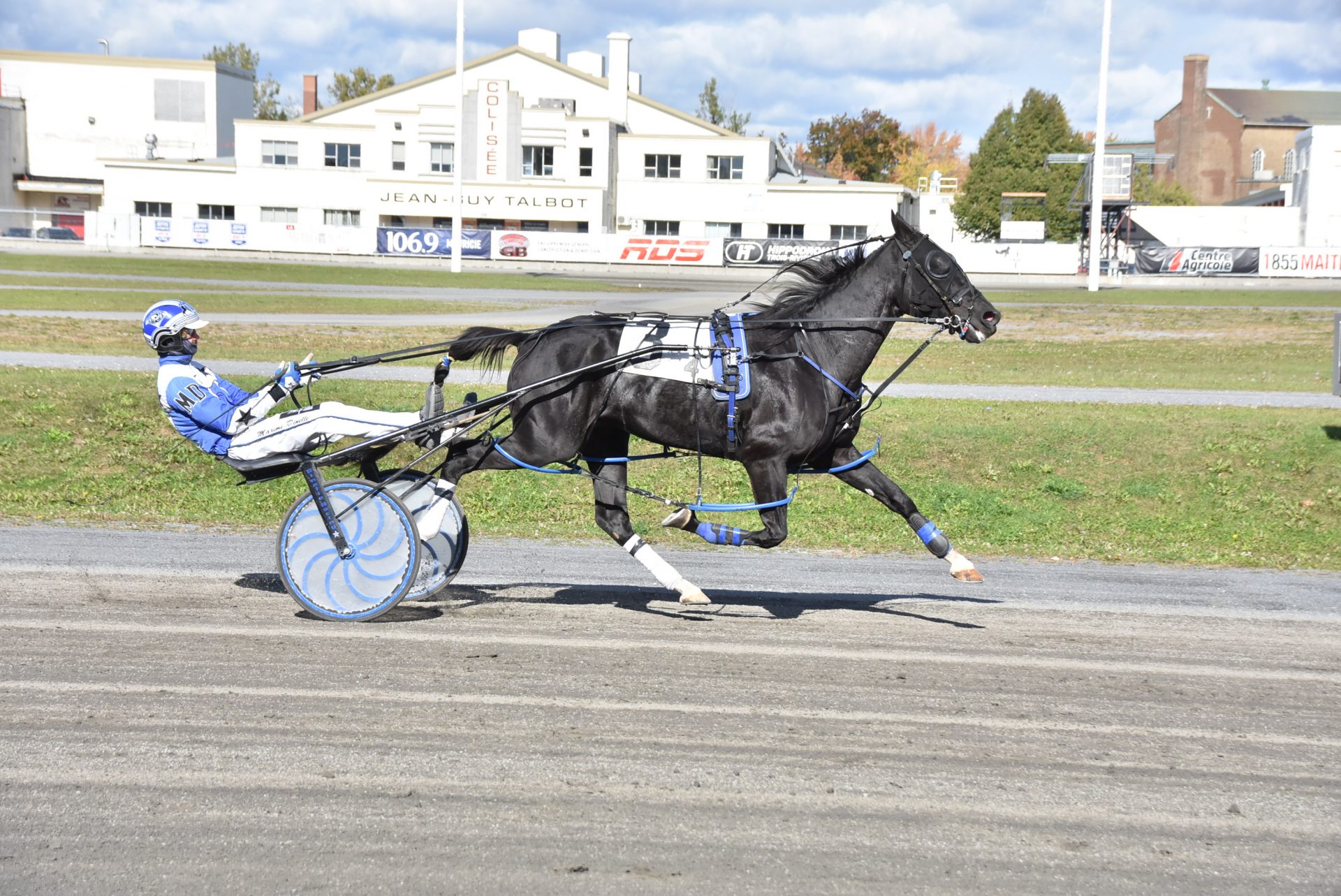 Dinelle, dans une belle progression - Hippodrome Trois-Rivières