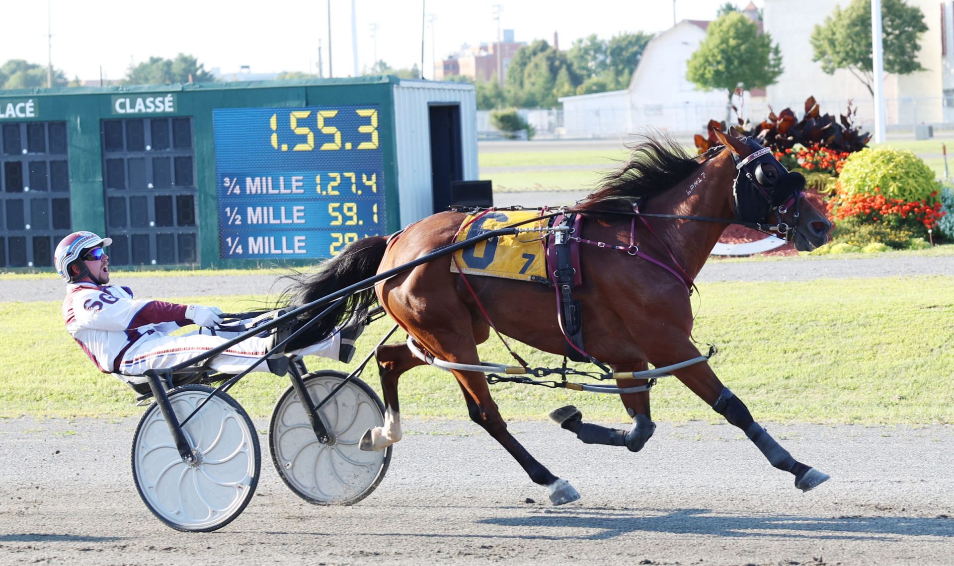 Début de la Série québécoise, dimanche - Hippodrome Trois-Rivières