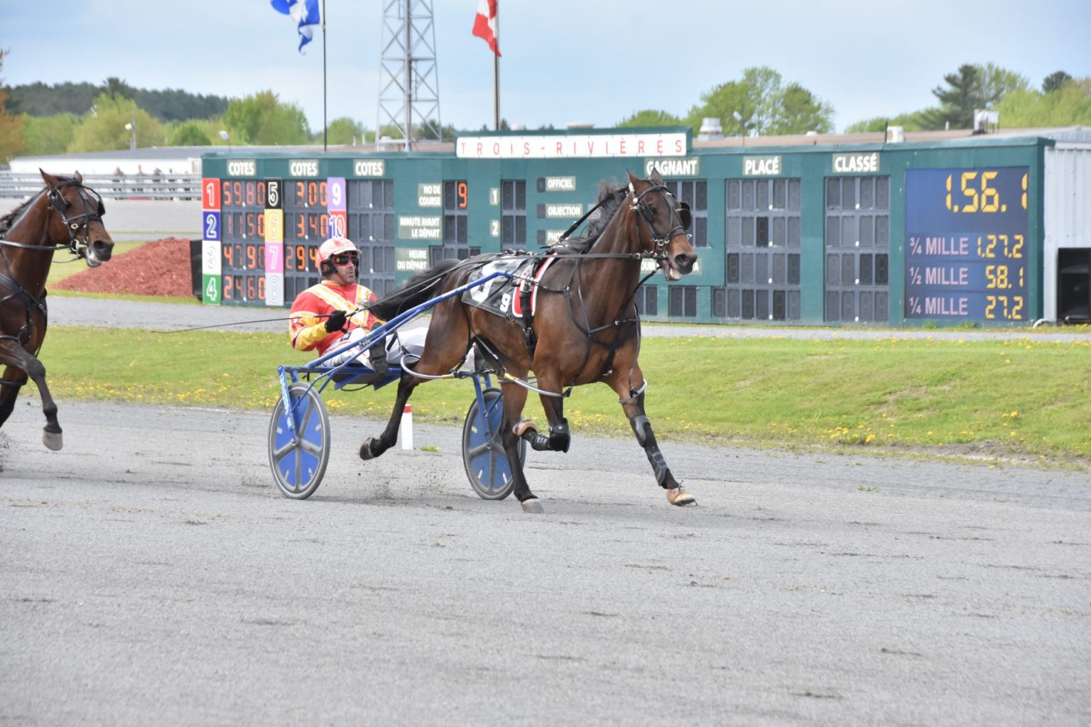 Début de la Série québécoise, dimanche - Hippodrome Trois-Rivières