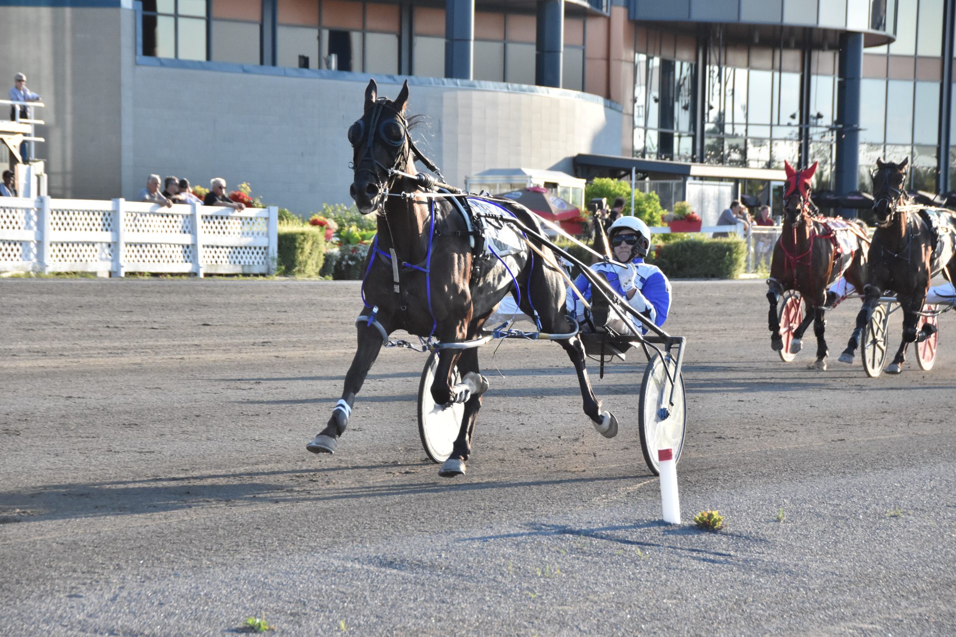 La relève Dinelle en action - Hippodrome Trois-Rivières