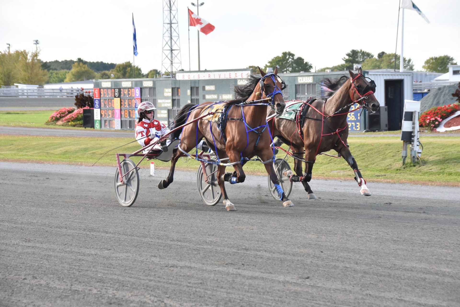 Record saisonnier pour Doc Houston - Hippodrome Trois-Rivières